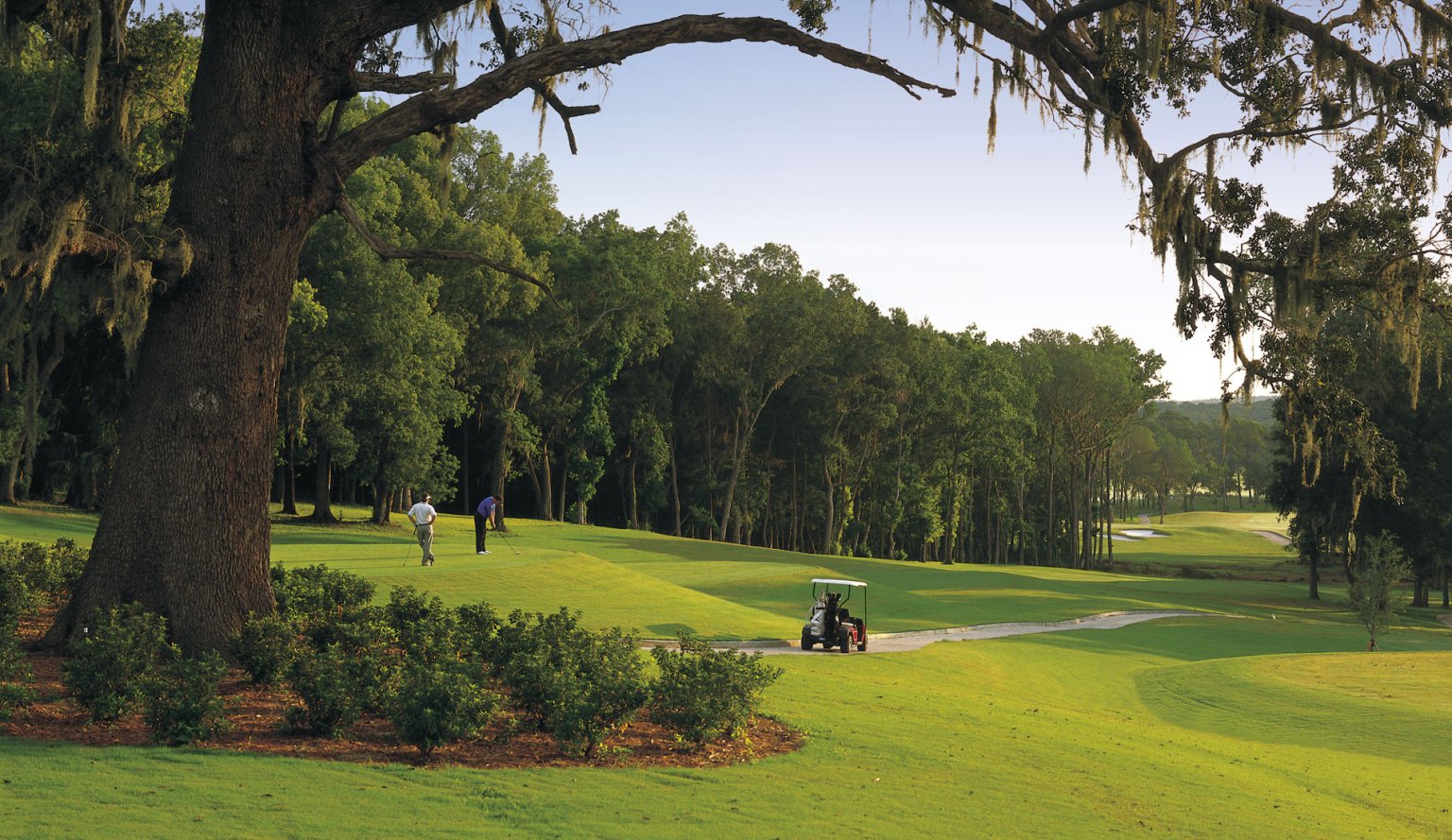 Golf Courses & Resorts | Florida's Sports Coast