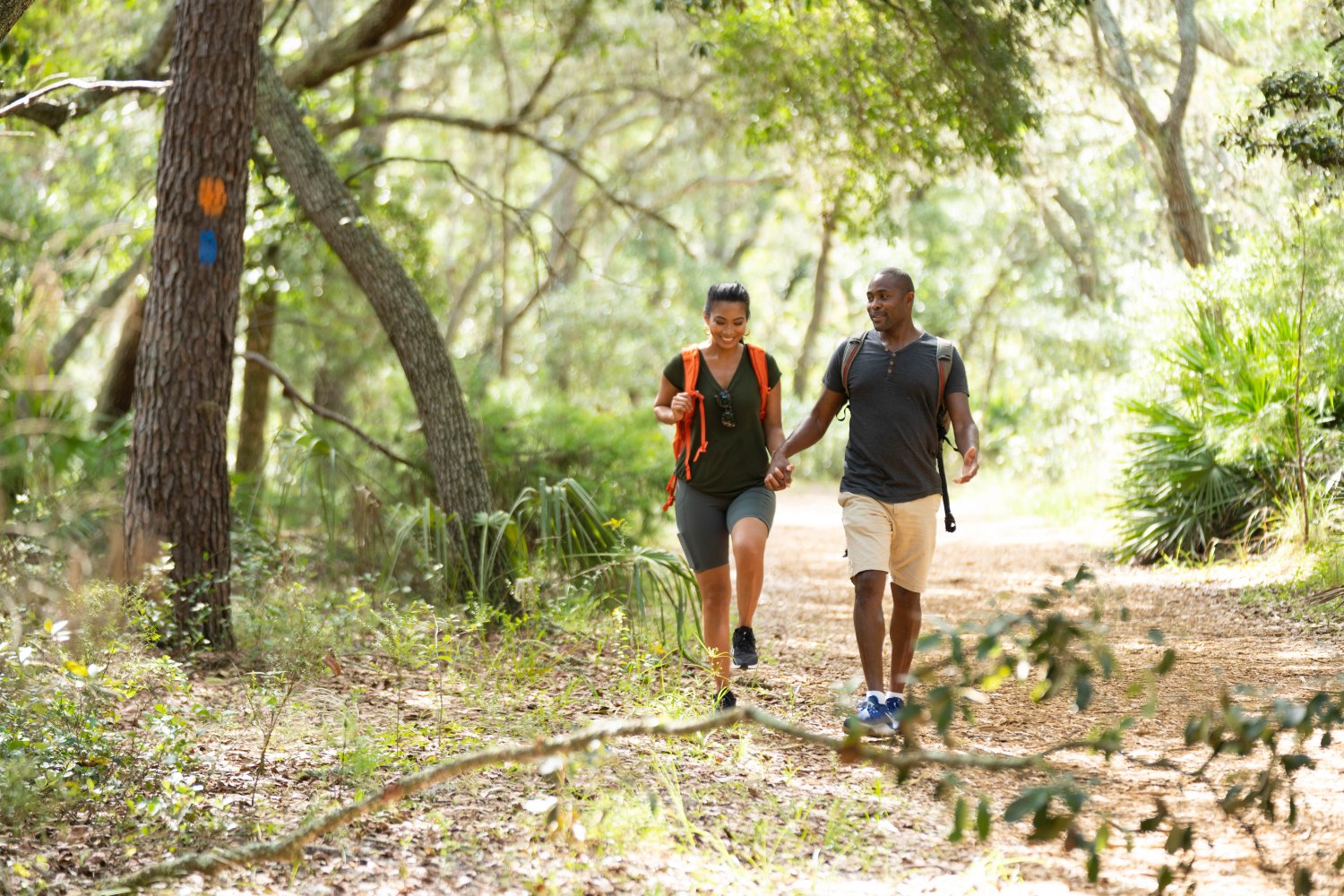 Florida Outdoor Adventures in Florida’s Sports Coast