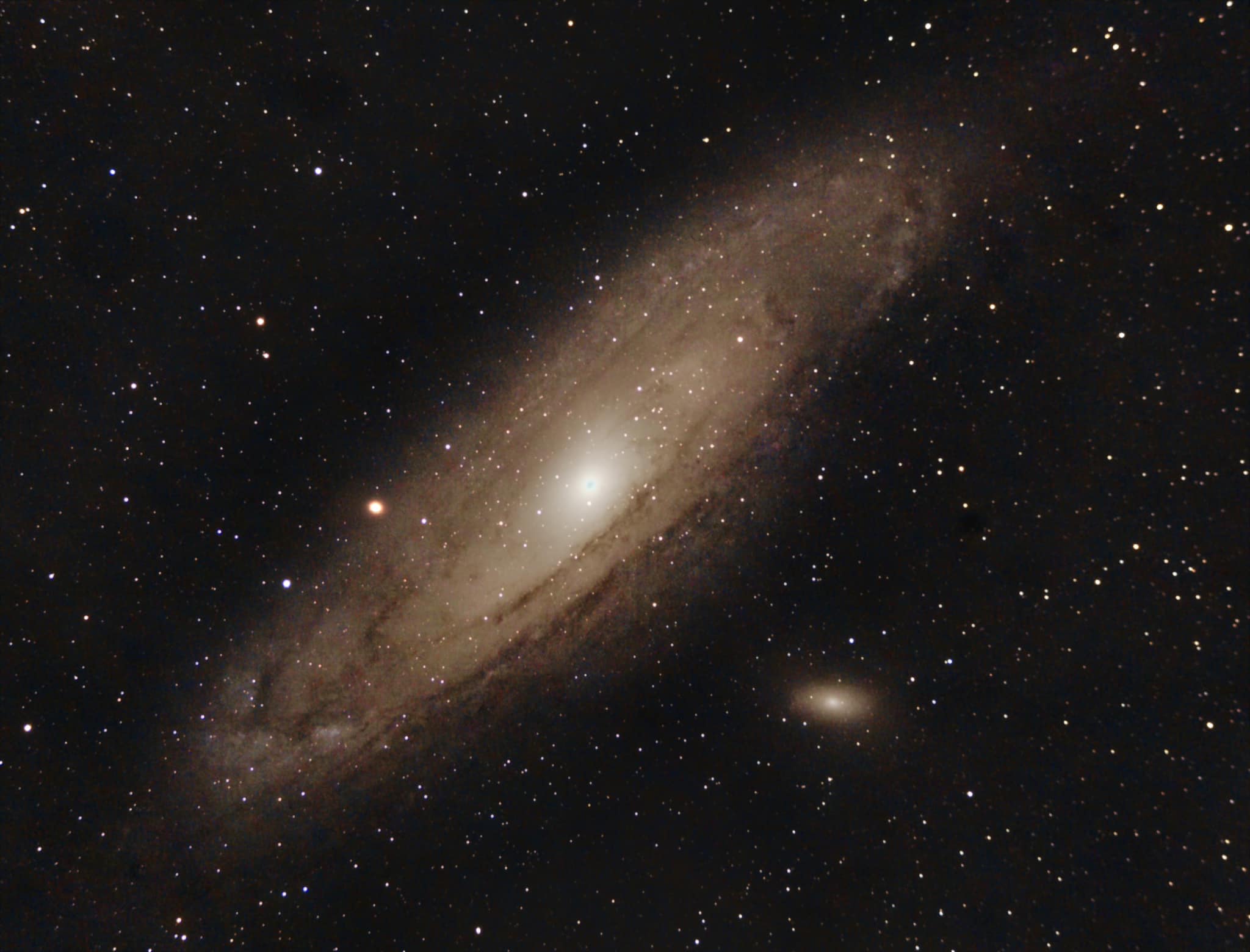 Stargazing at Starkey Park | Florida's Sports Coast