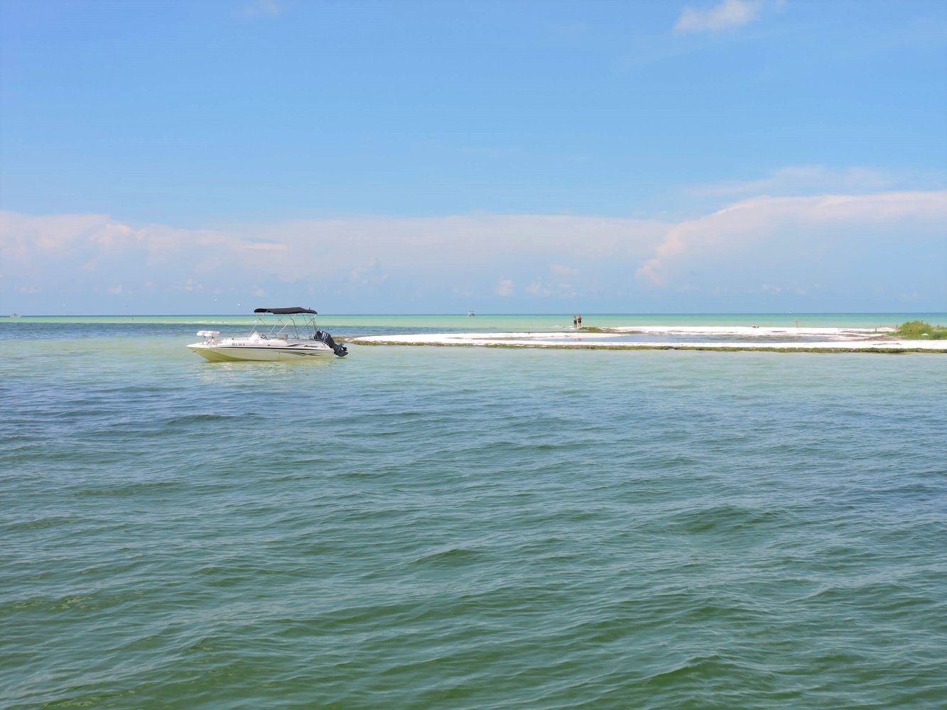 Find Your Adventure in Florida's Sports Coast